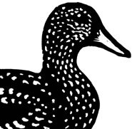 Andrew Lockett joins Duckworth