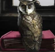 The Bookseller - News - Pottermore and OverDrive link on Potter library ...