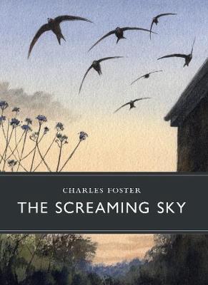 The Bookseller - Previews - The Screaming Sky