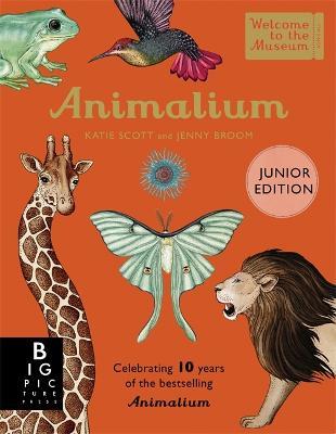 The Bookseller - Previews - Animalium
