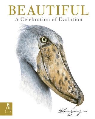 The Bookseller - Previews - Beautiful: A Celebration of Evolution