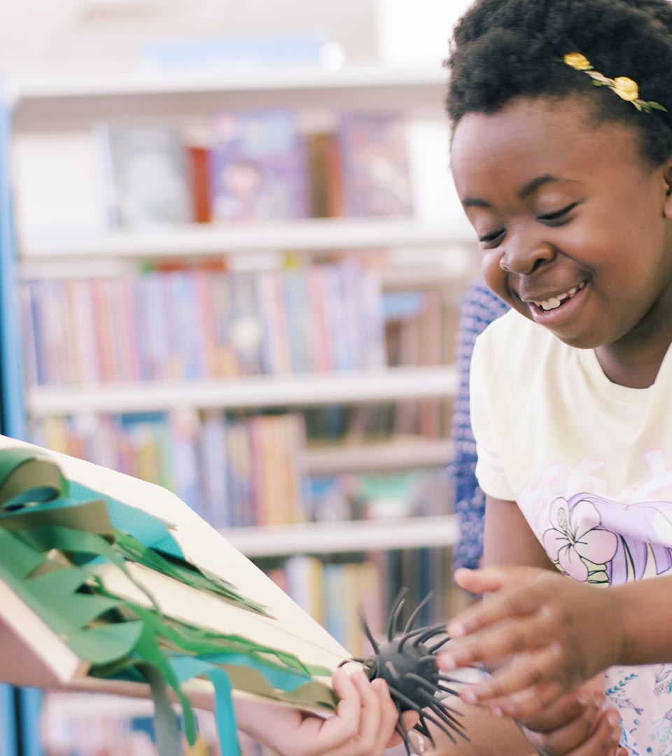 The Library Focus: In the Spotlight